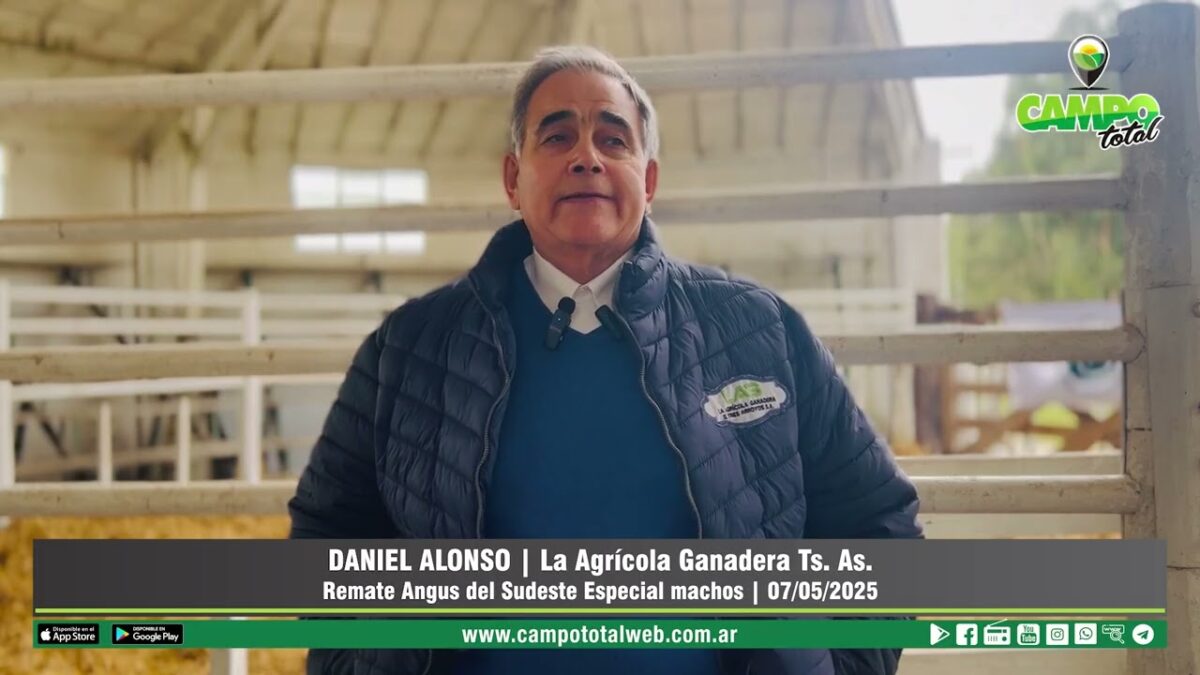 Entrevista a Daniel Alonso | CAMPO total web